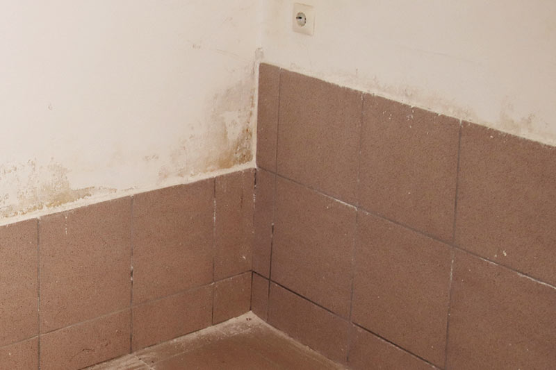 Nasse Ecke im Keller - was ist zu tun? ATG® Ratgeber