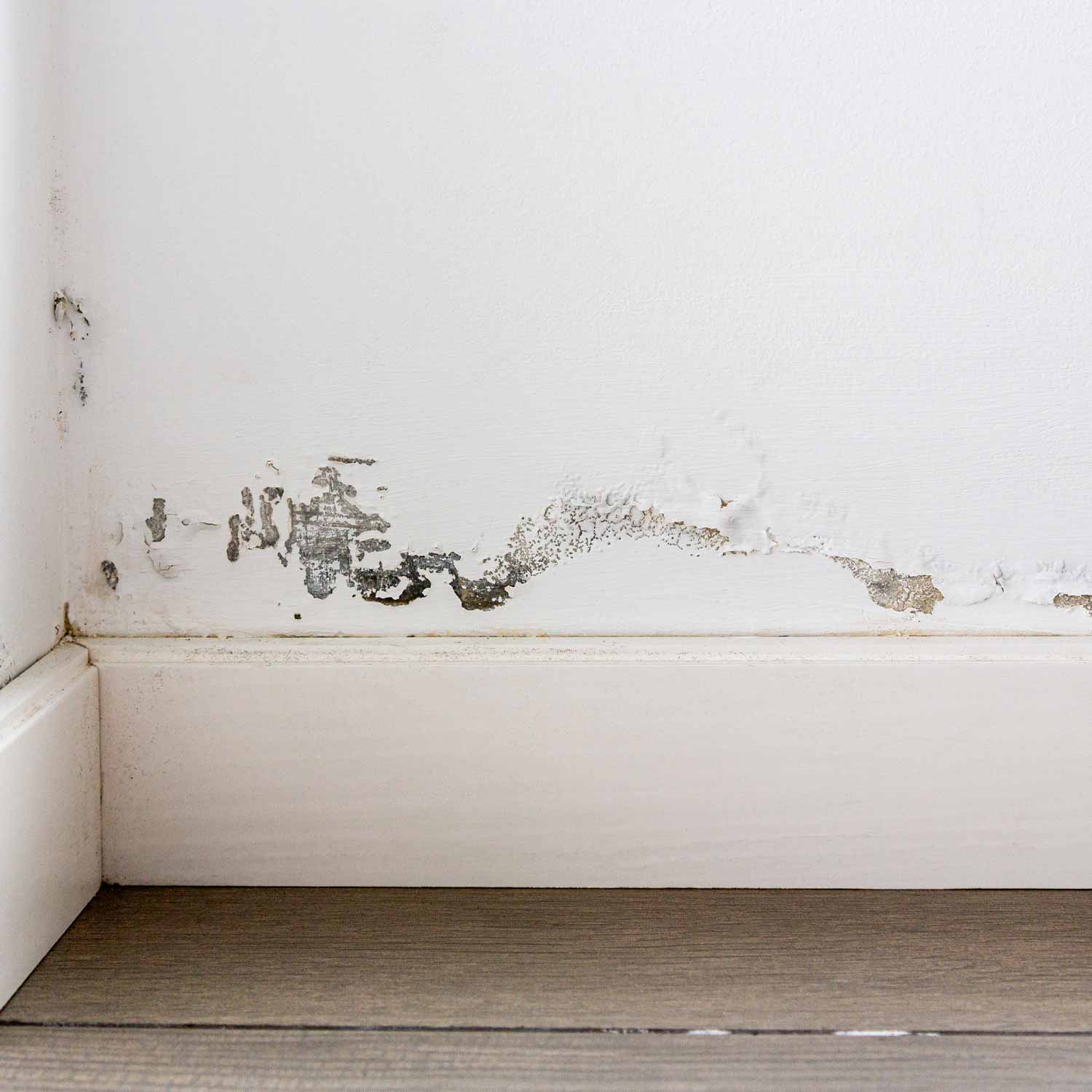 Schaden durch undichten Wand-Boden-Anschluss - ATG Mauertrockenlegung ...